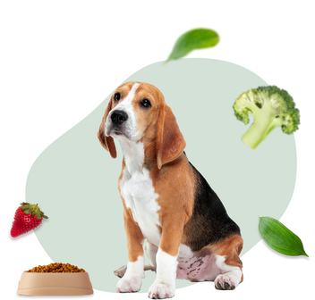 How It Works - Ruff Greens